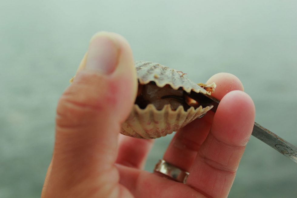 Scallop Cleaning | Reel Florida Fishing Charters